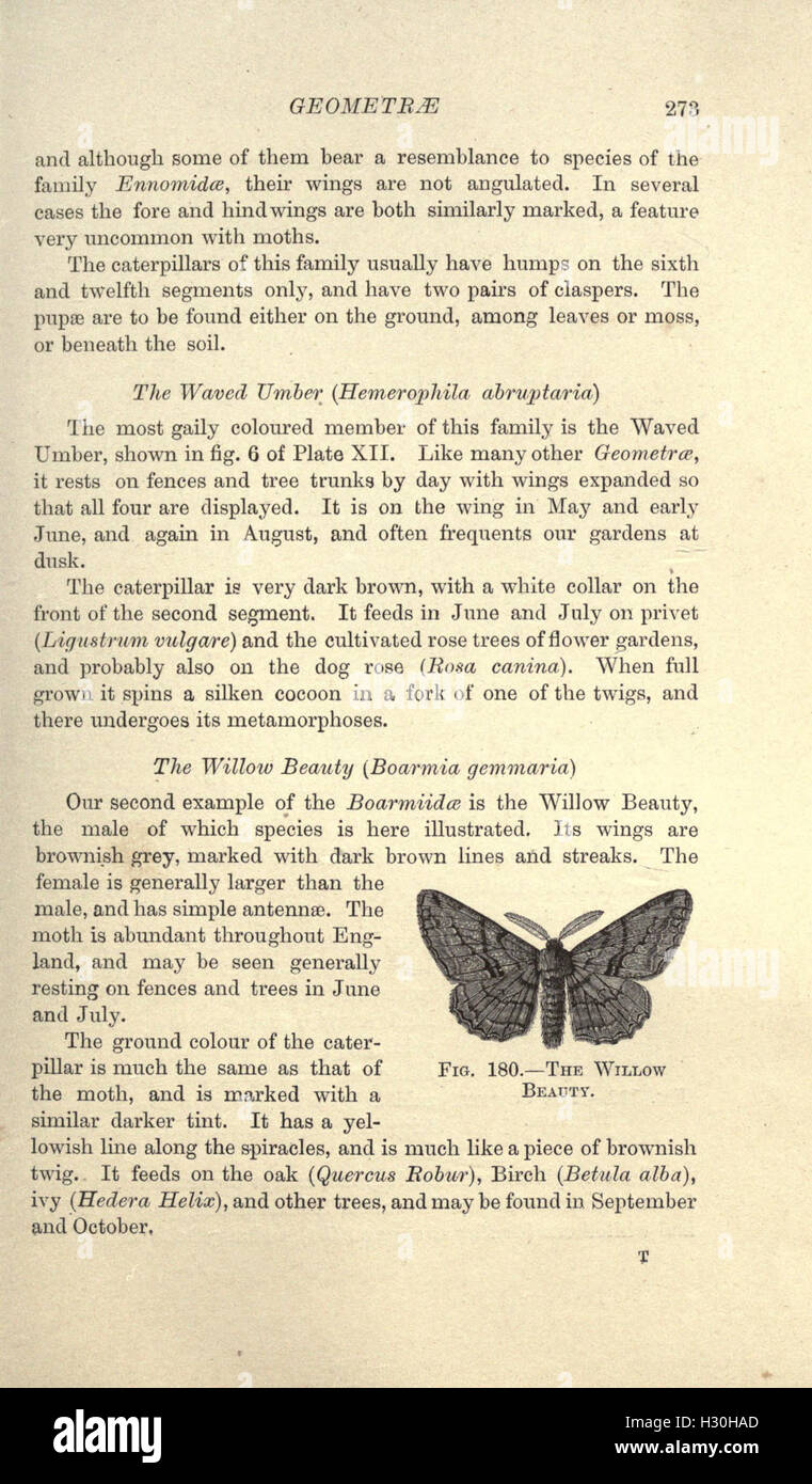 This work documents the butterflies and moths of Britain, focusing on ...