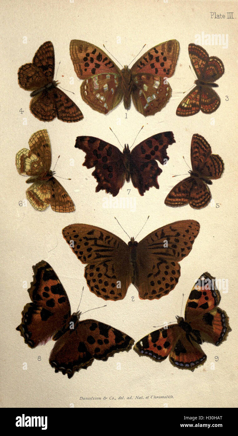 A guide to the identification and classification of British butterflies and moths, detailing ...