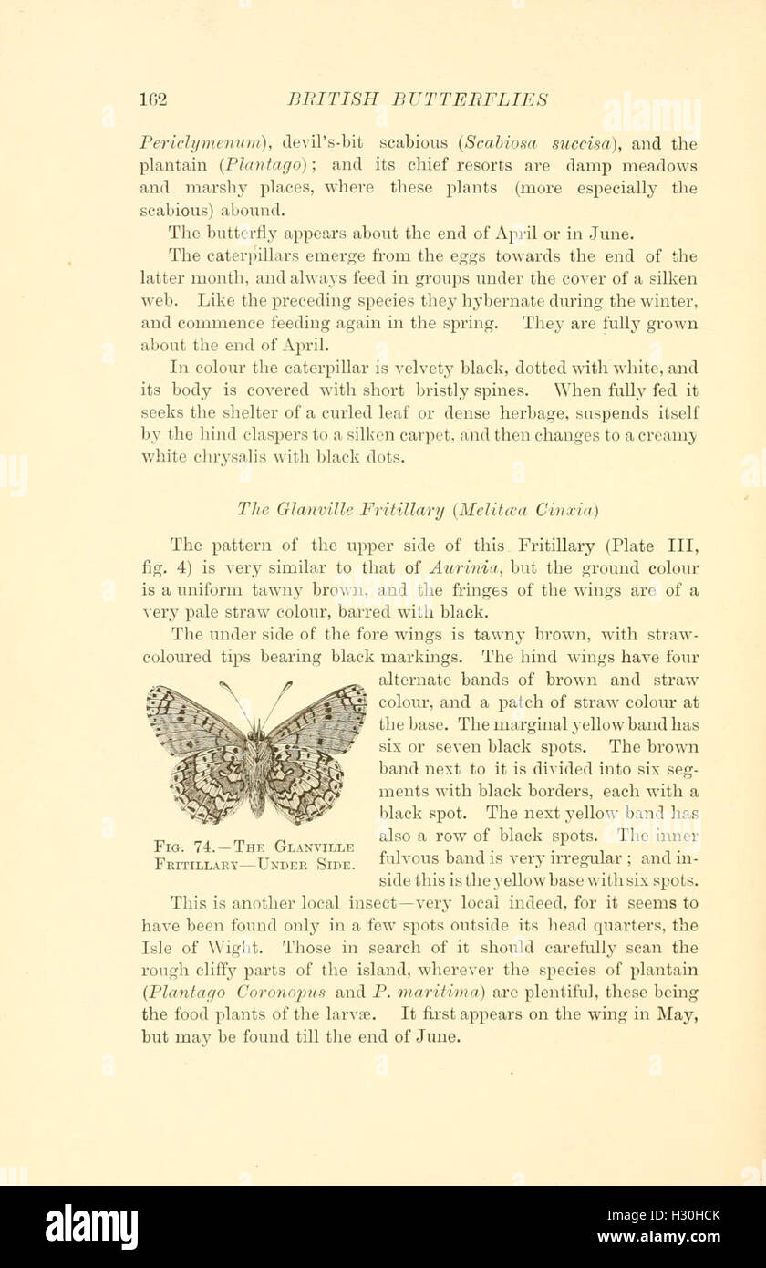 This section provides an overview of various butterfly and moth species ...