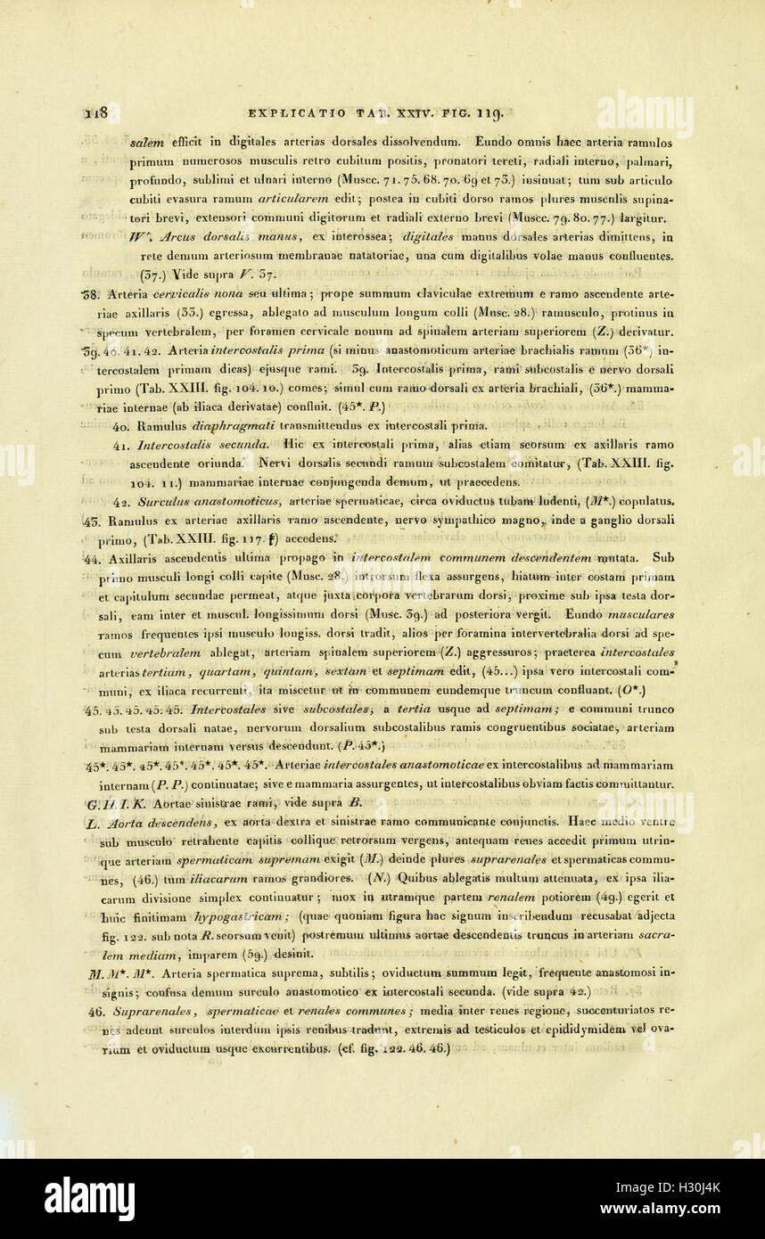 This anatomical study of the European tortoise provides detailed ...