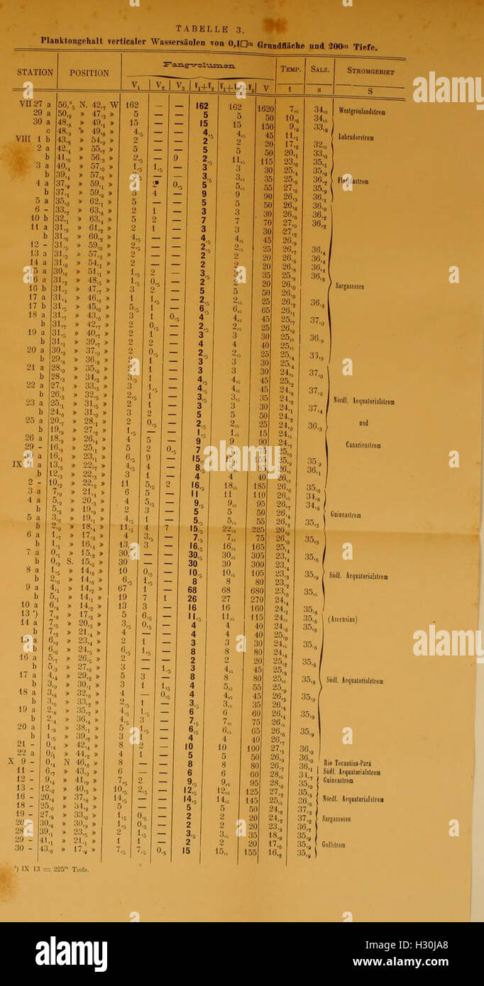 A study focusing on plankton, with an emphasis on its analytical ...