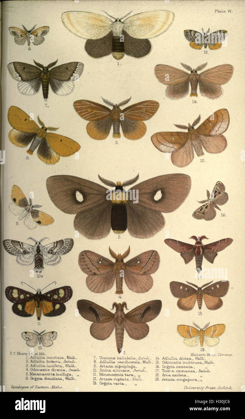 This catalogue includes a comprehensive listing of Lepidoptera (moths ...