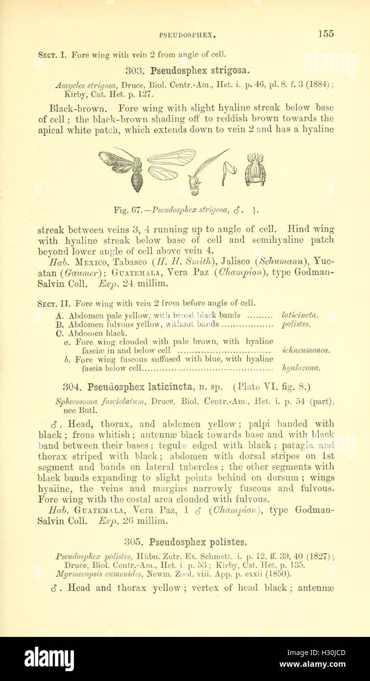 This catalog presents a comprehensive list of Lepidoptera Phalaenae ...