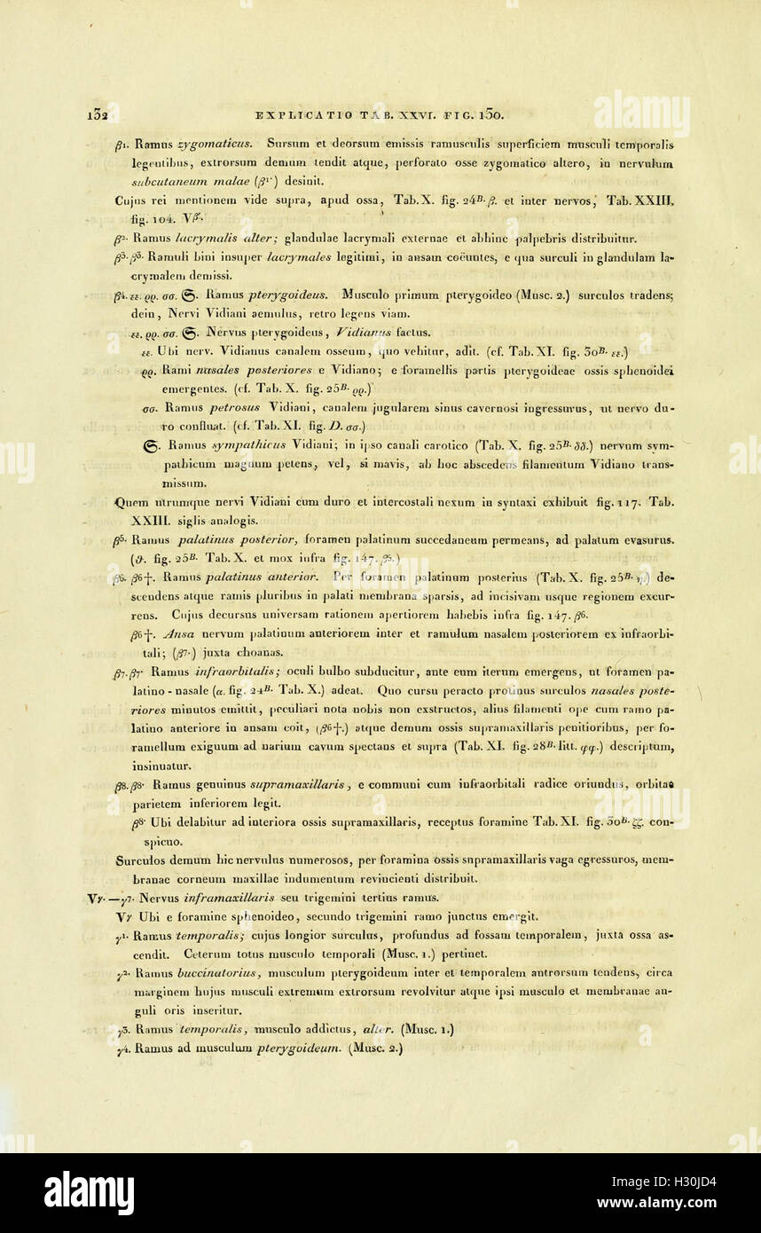This page from 'Anatome testudinis Europaeae' presents a detailed study ...