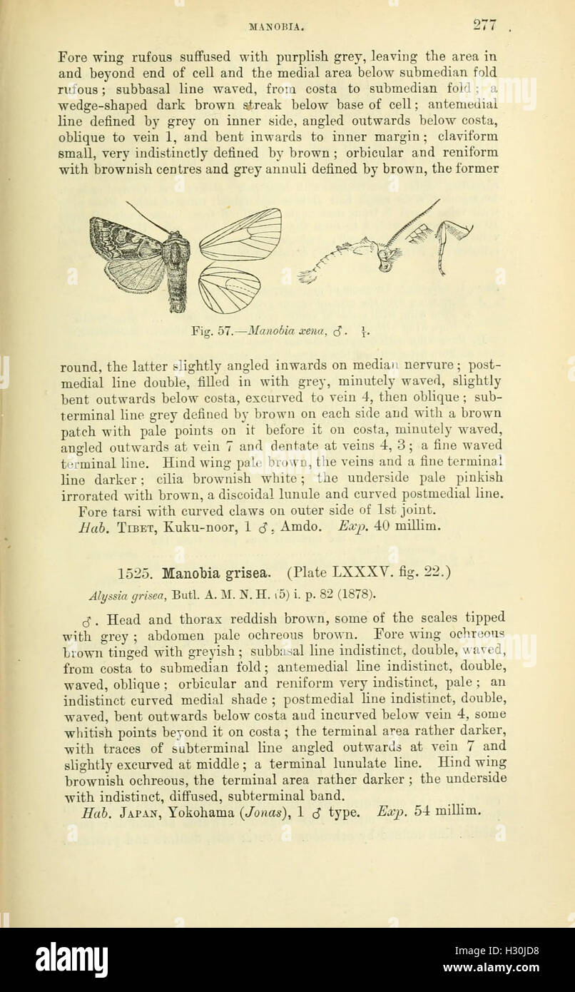 This catalogue provides a comprehensive list of Lepidoptera species ...