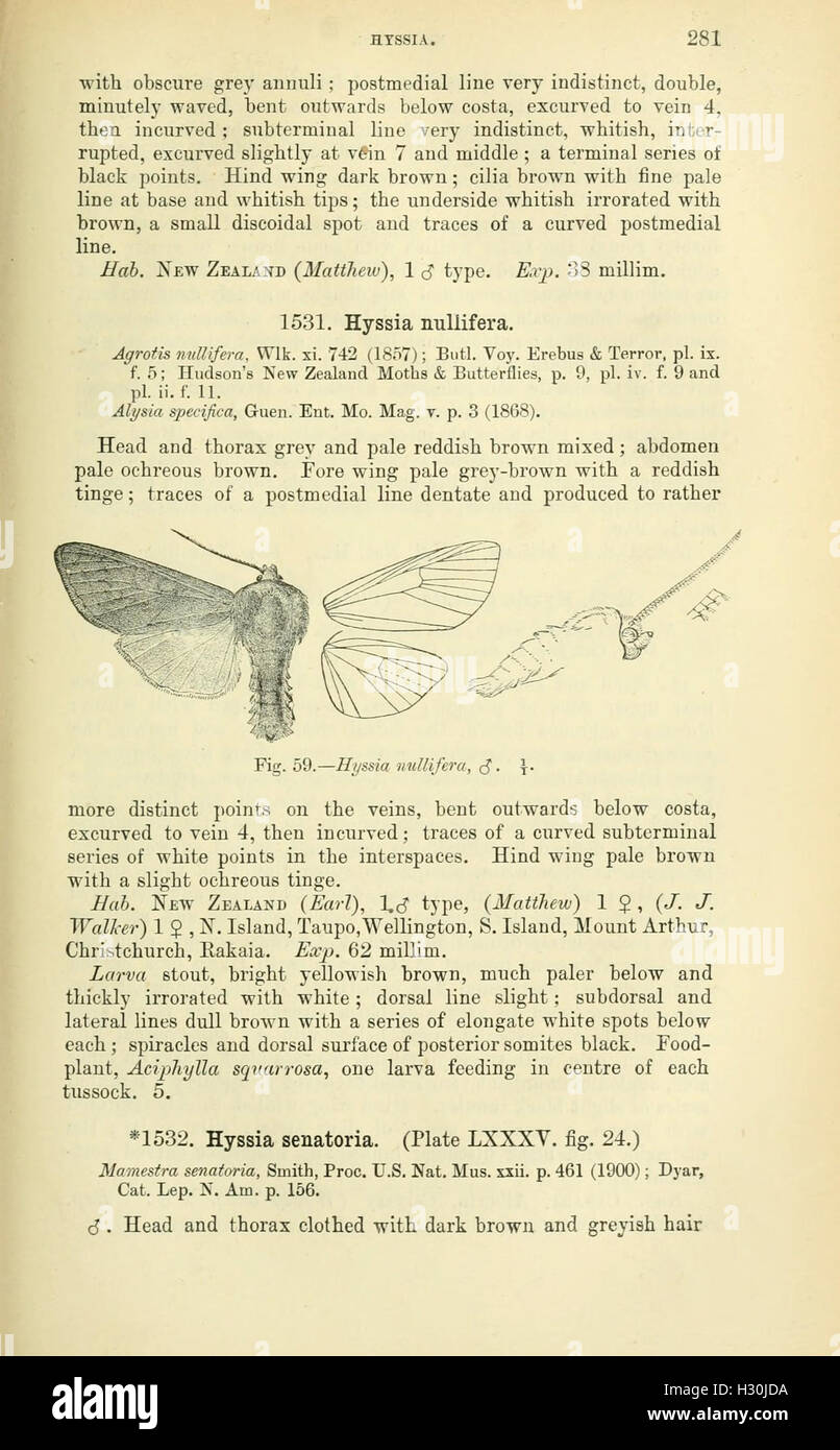This catalogue details the collection of Lepidoptera Phalaenae at the ...