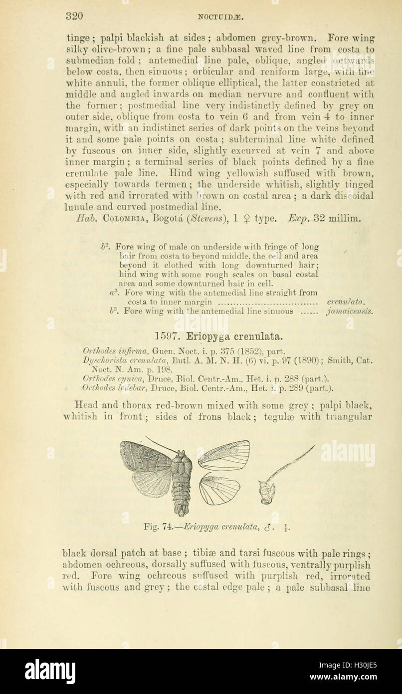 This catalogue documents the diverse species of Lepidoptera ...