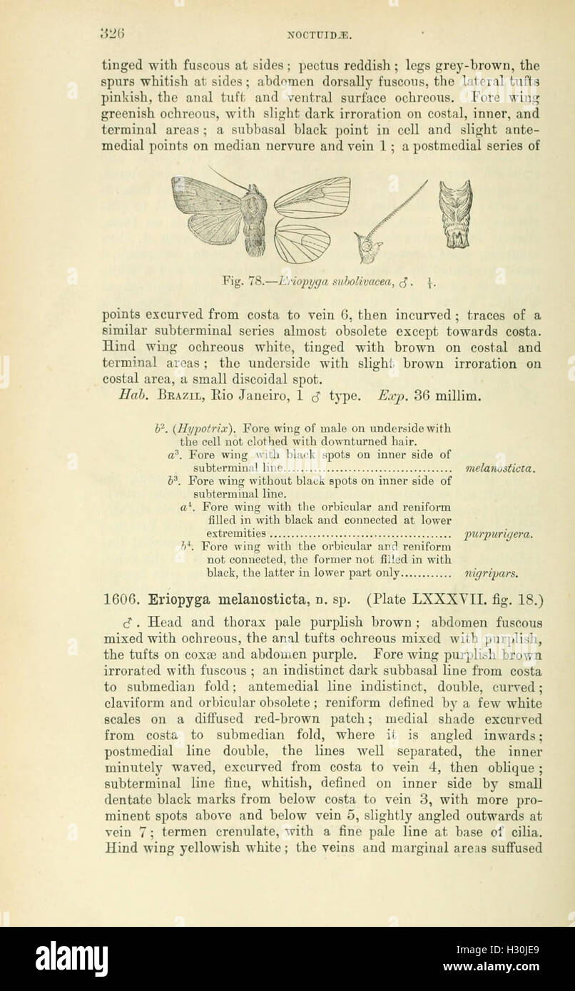 This catalog provides a comprehensive list of moth species (Phalaenae ...