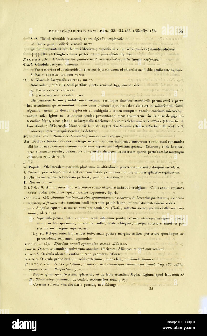 This page from 'Anatome testudinis Europaeae' continues its exploration ...