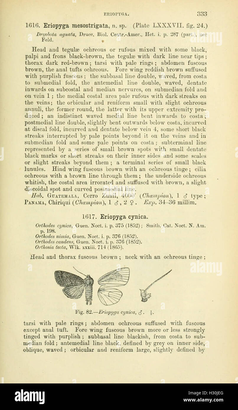 This catalogue provides an extensive list of Lepidoptera species ...