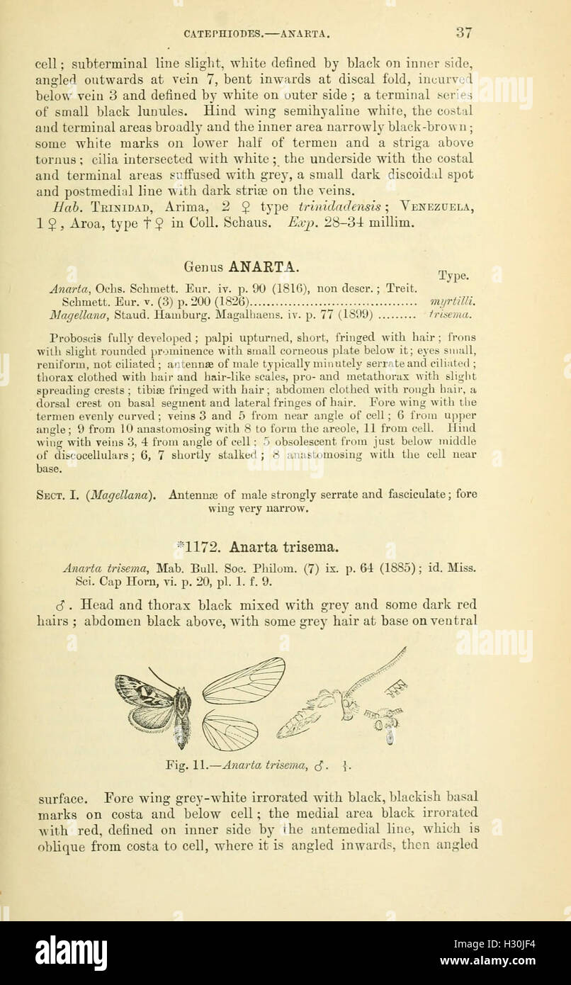 This catalogue is part of a detailed inventory of the Lepidoptera ...