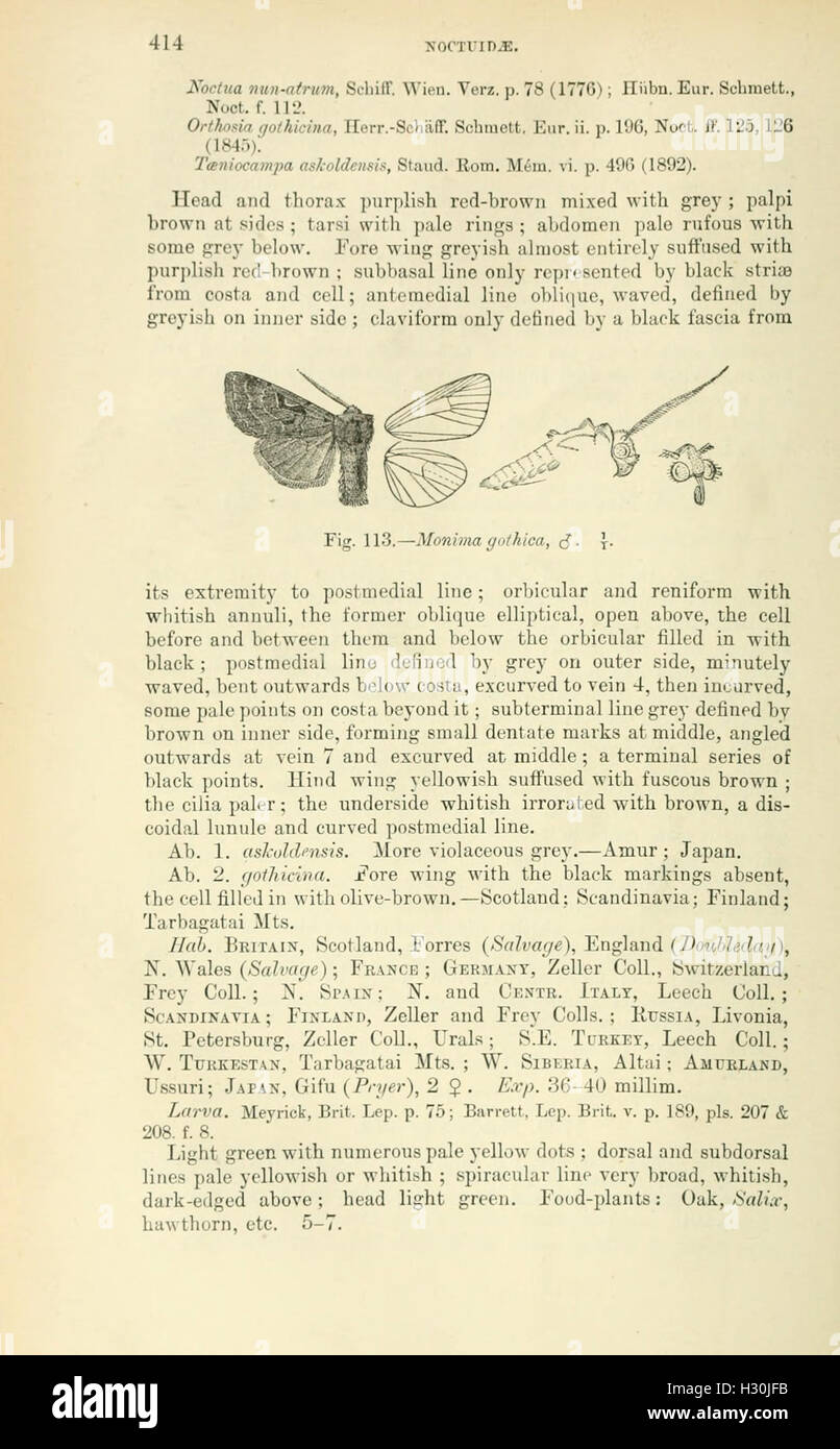 This catalogue includes a detailed list of Lepidoptera Phalaenae, a ...