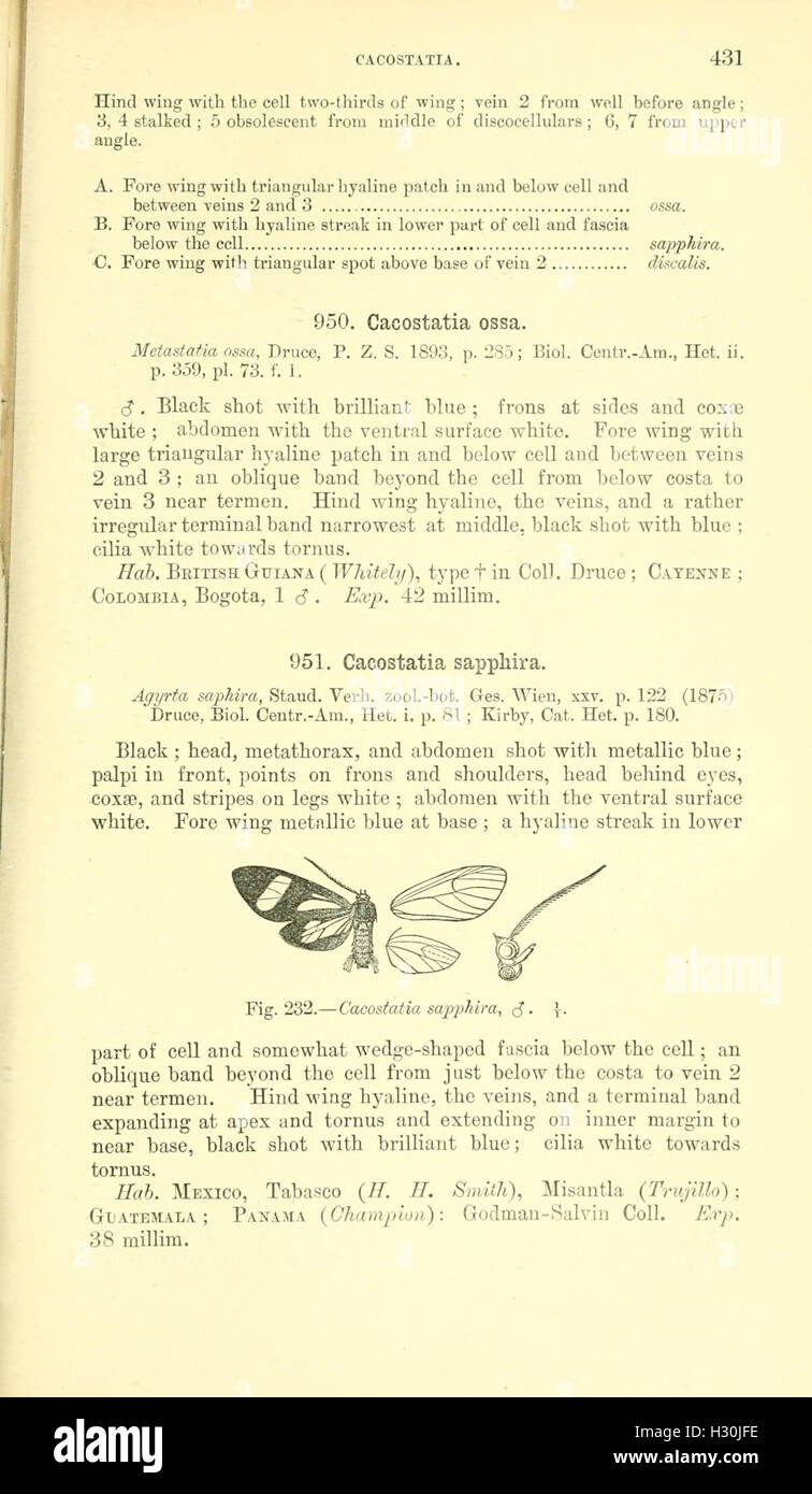 This catalogue provides an organized list of Lepidoptera (moths) in the ...