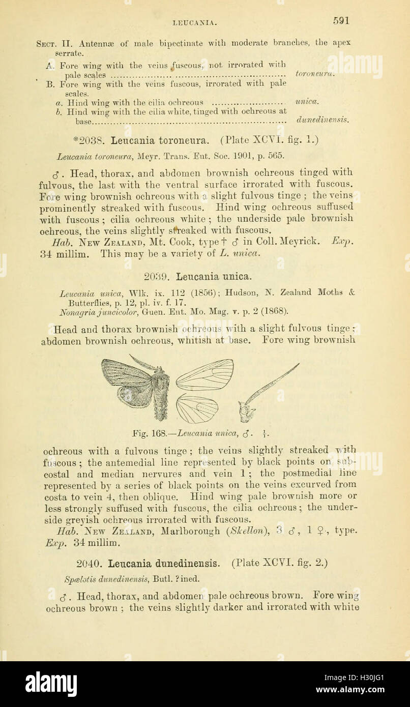A catalog documenting the Lepidoptera Phalaenae species in the British ...
