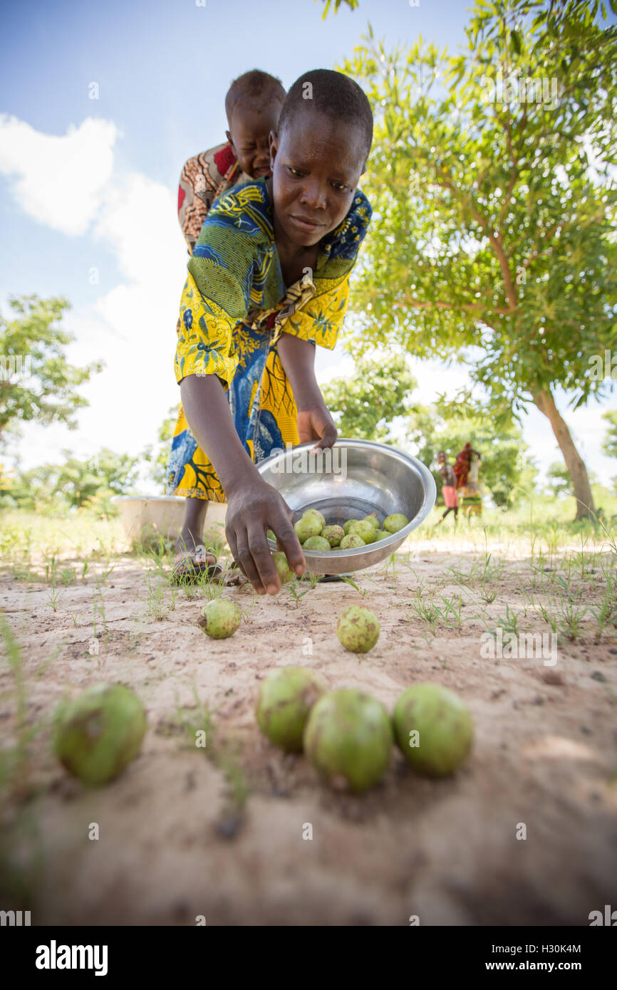 World harvest for kids hi-res stock photography and images - Alamy