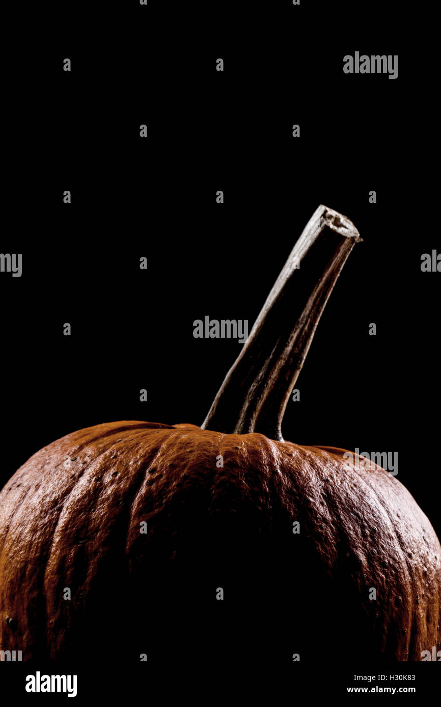 One dark pumpkin isolated on black background Stock Photo - Alamy