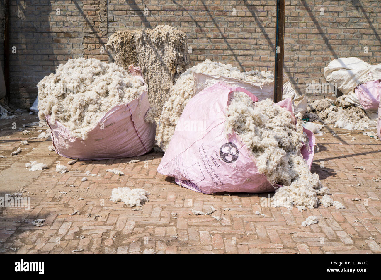 Raw cotton , cotton mill Multan Pakistan Stock Photo - Alamy