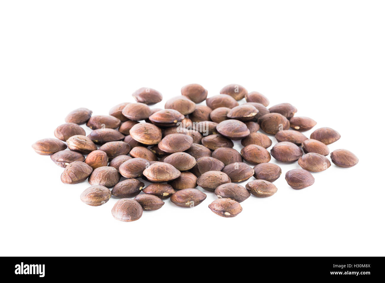 Star Seeds Inca isolated on white background Stock Photo - Alamy
