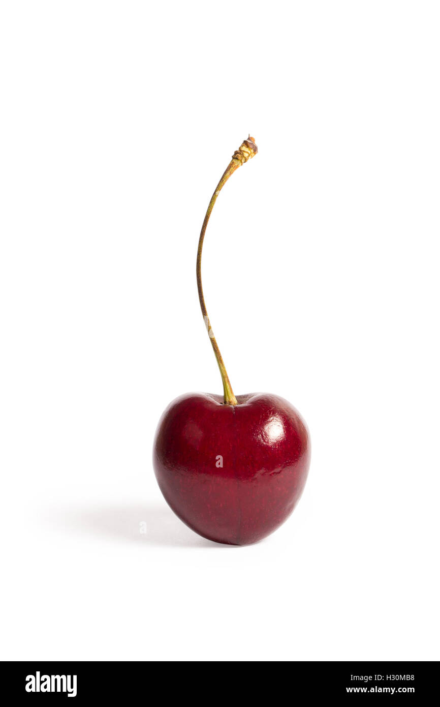 Top view of red cherry isolated on white with clipping path Stock Photo ...