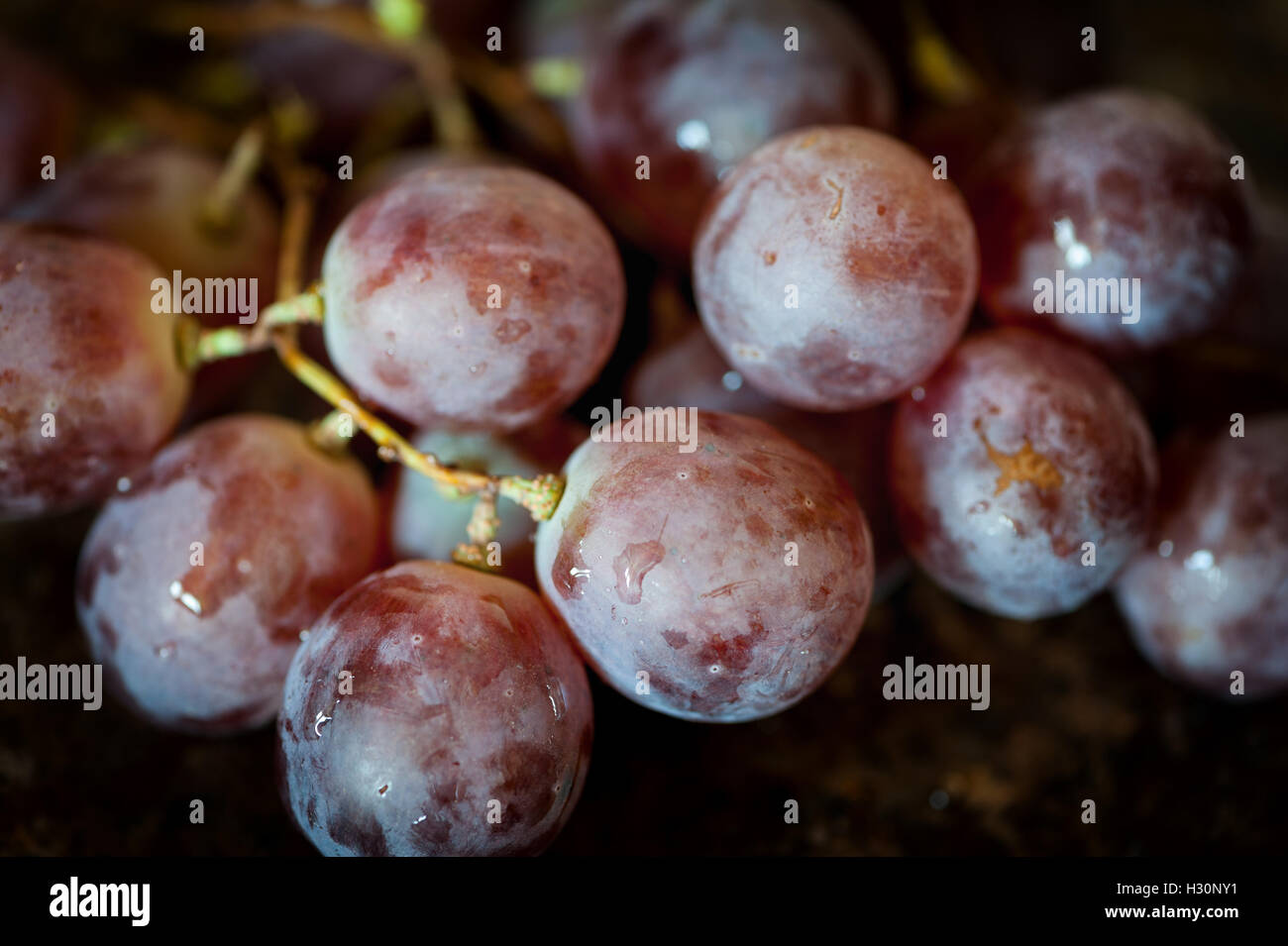 Making small portions hi-res stock photography and images - Alamy