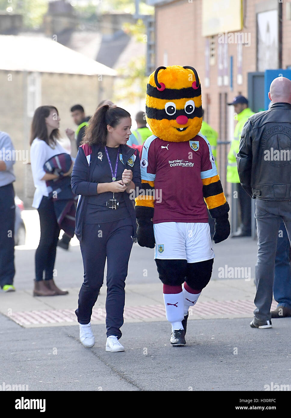 Burnley club mascot bertie bee hi-res stock photography and images - Alamy