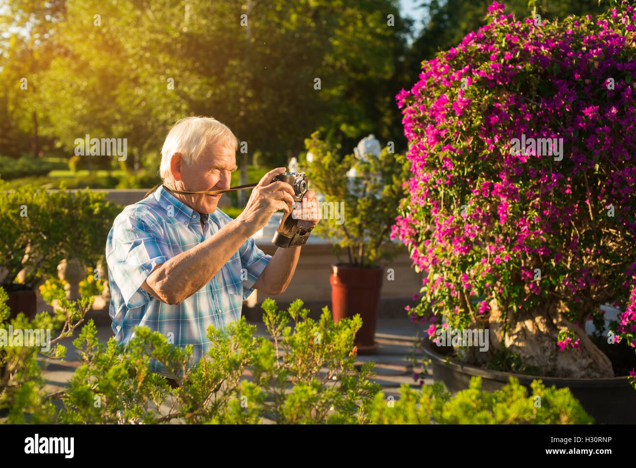 Senior man with camera Stock Photo - Alamy