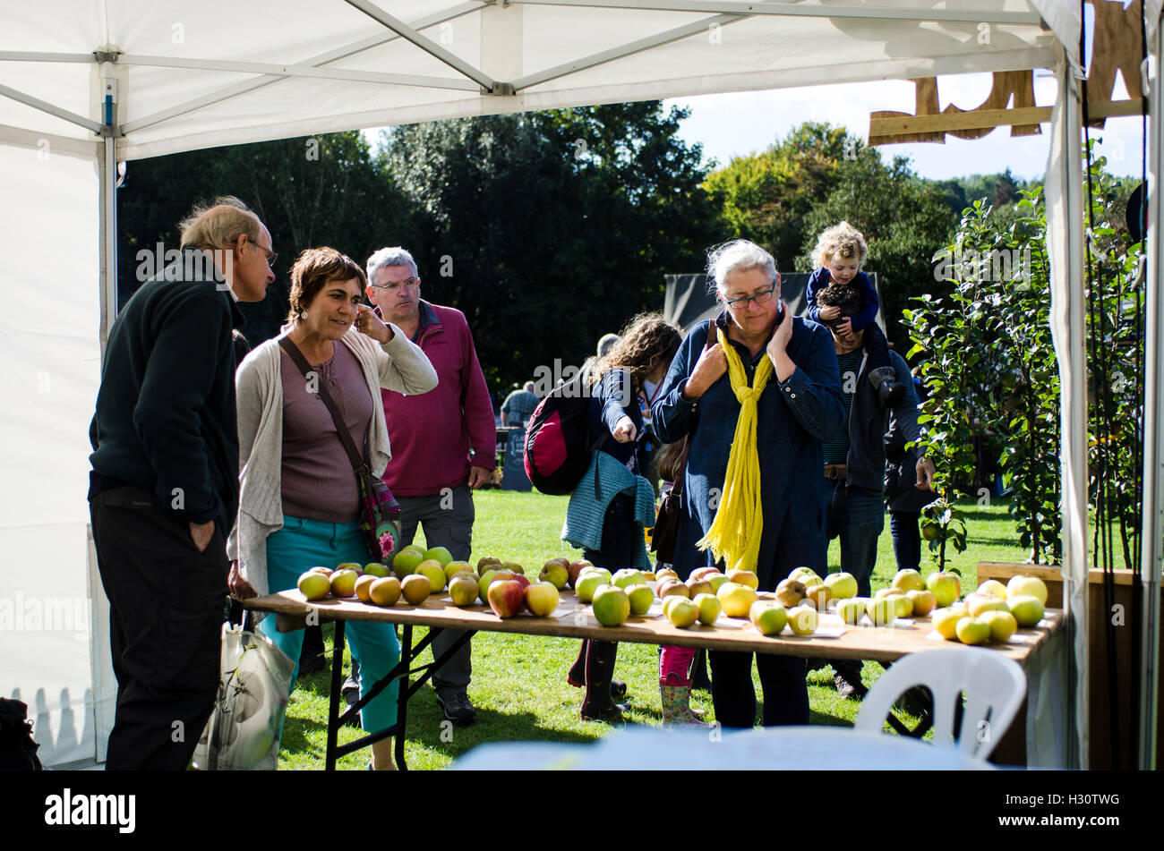 Brighton, East Sussex, 2nd October 2016. Brighton’s annual Apple Day ...