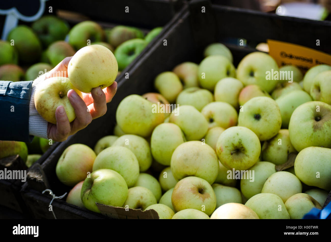 Brighton, East Sussex, 2nd October 2016. Brighton’s annual Apple Day ...
