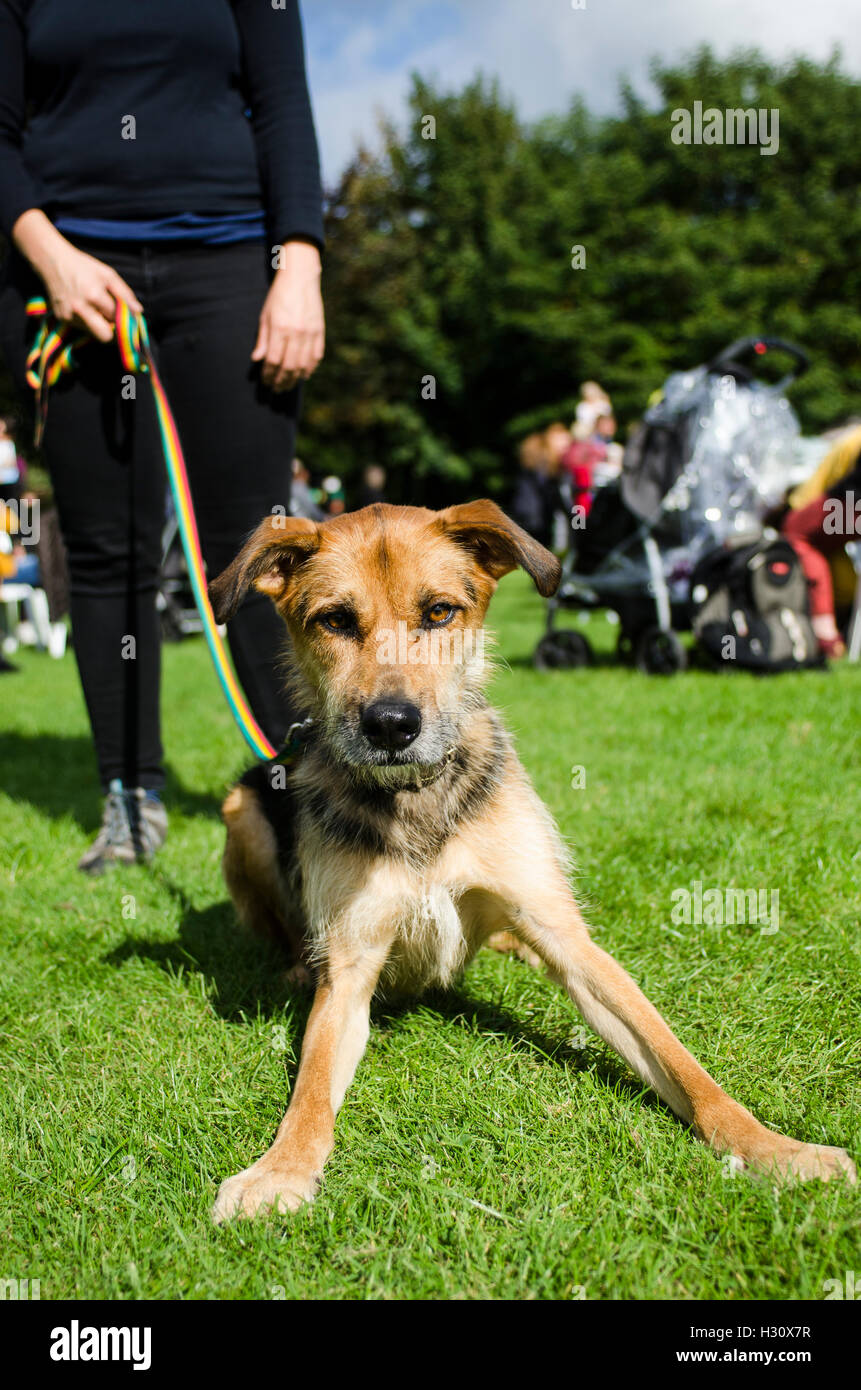 Brighton, East Sussex, 2nd October 2016. Brighton’s annual Apple Day ...