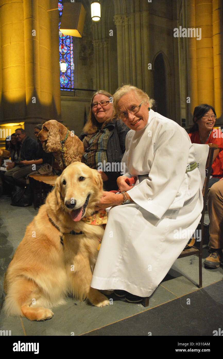 New York City, New York, USA. 02nd Oct, 2016. Blessing of the animals ...