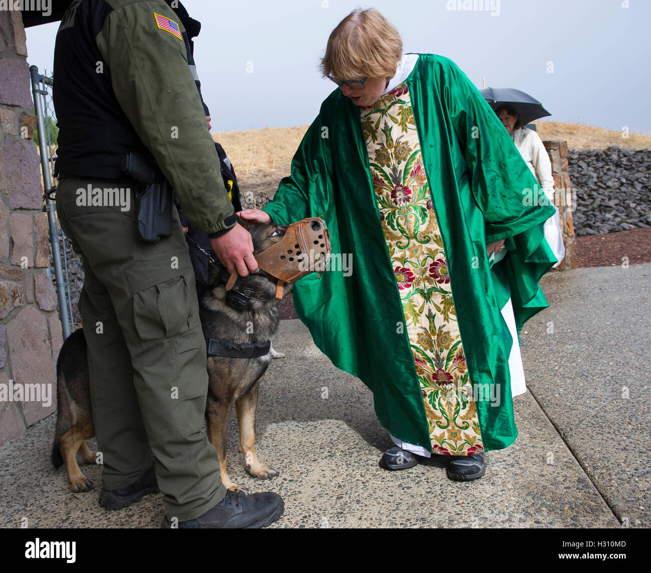 Oregon humane society hi-res stock photography and images - Alamy