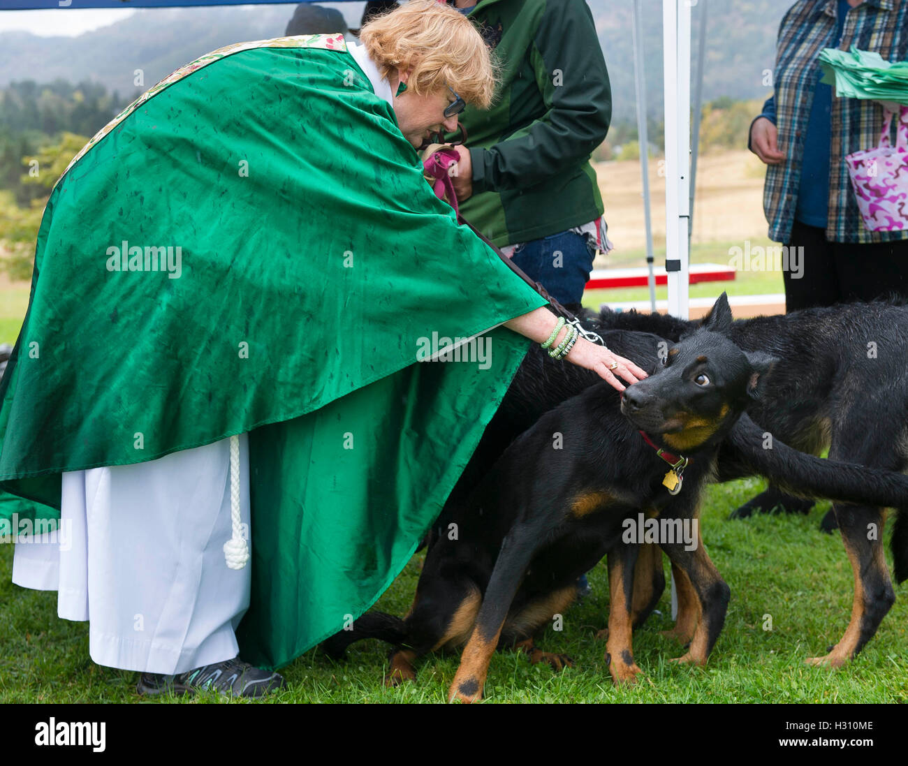 Oregon humane society hi-res stock photography and images - Alamy