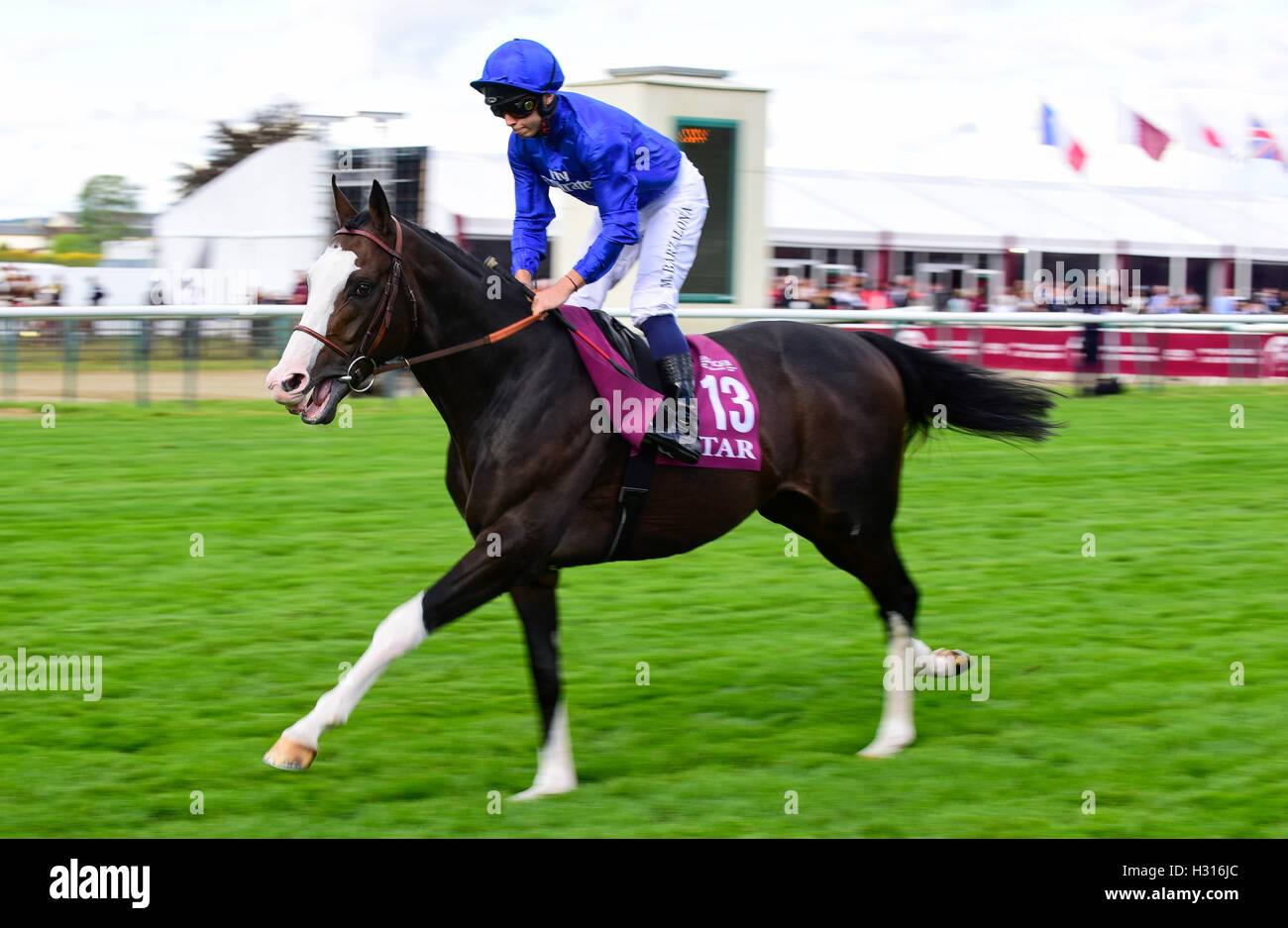 Chantilly racecourse hi-res stock photography and images - Alamy