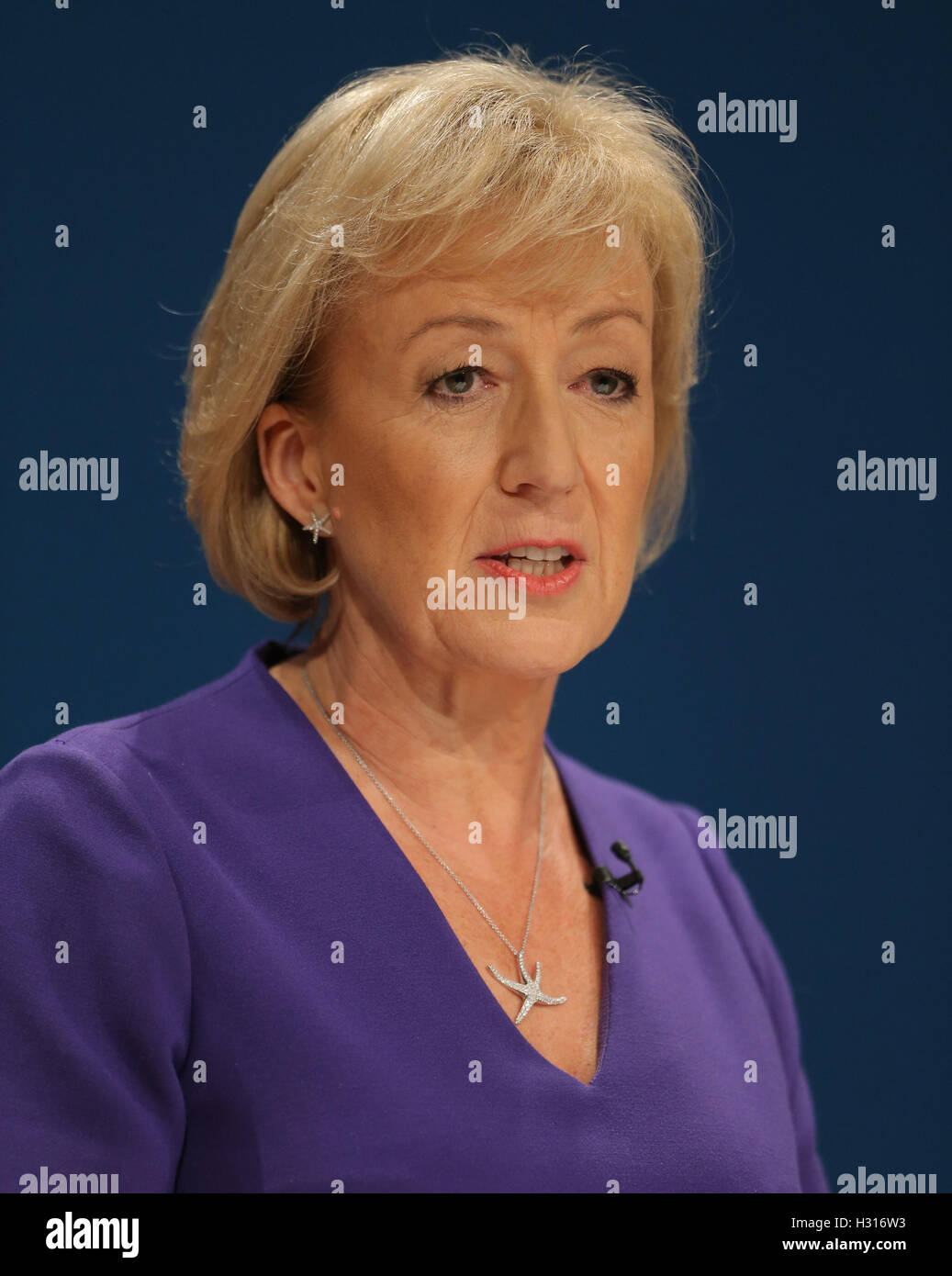 Andrea Leadsom Stock Photos & Andrea Leadsom Stock Images - Alamy