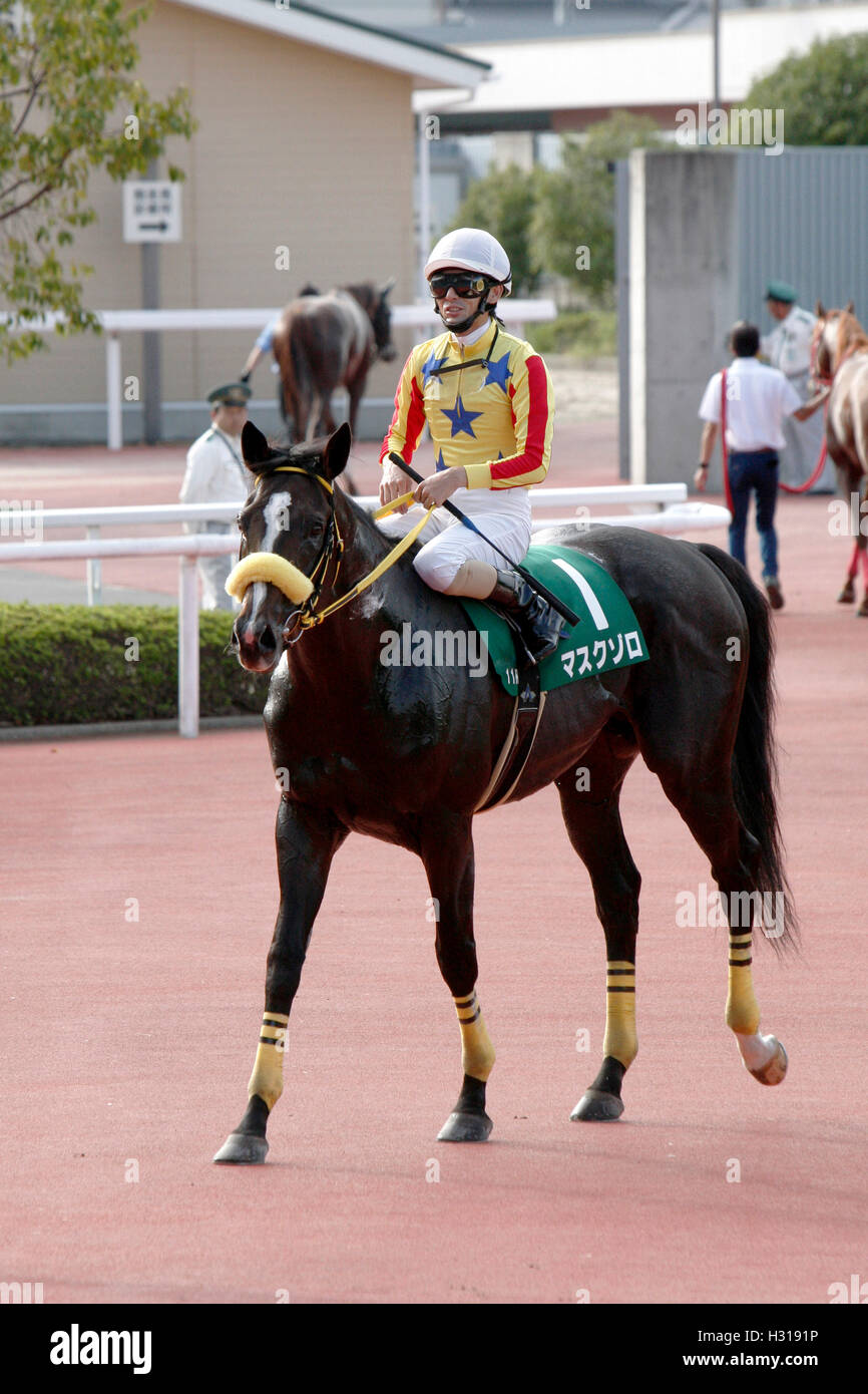 Hyogo, Japan. 1st Oct, 2016. Mask Zorro (Shinichiro Akiyama) Horse ...