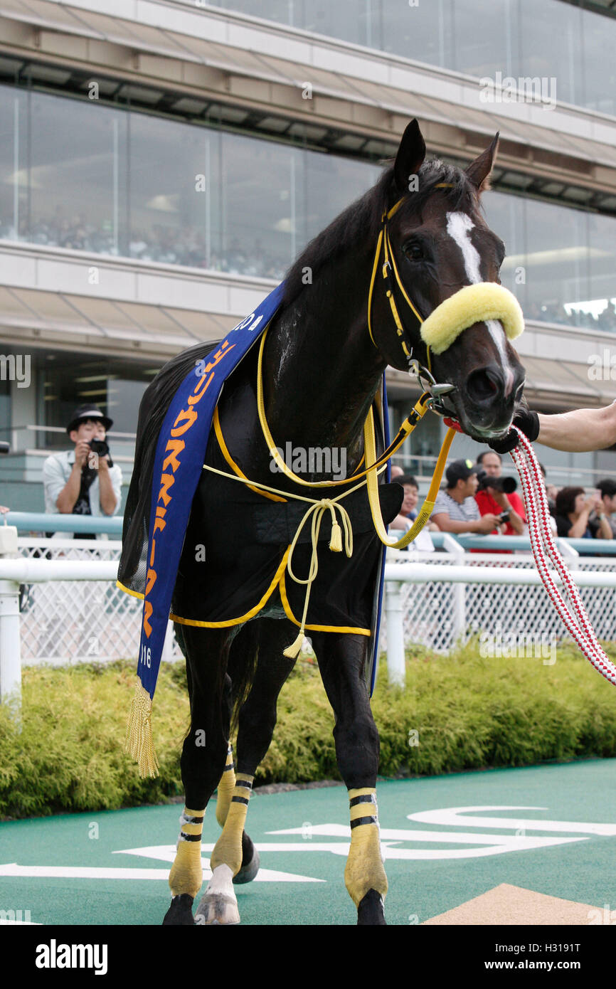 Hyogo, Japan. 1st Oct, 2016. Mask Zorro Horse Racing : Mask Zorro after ...