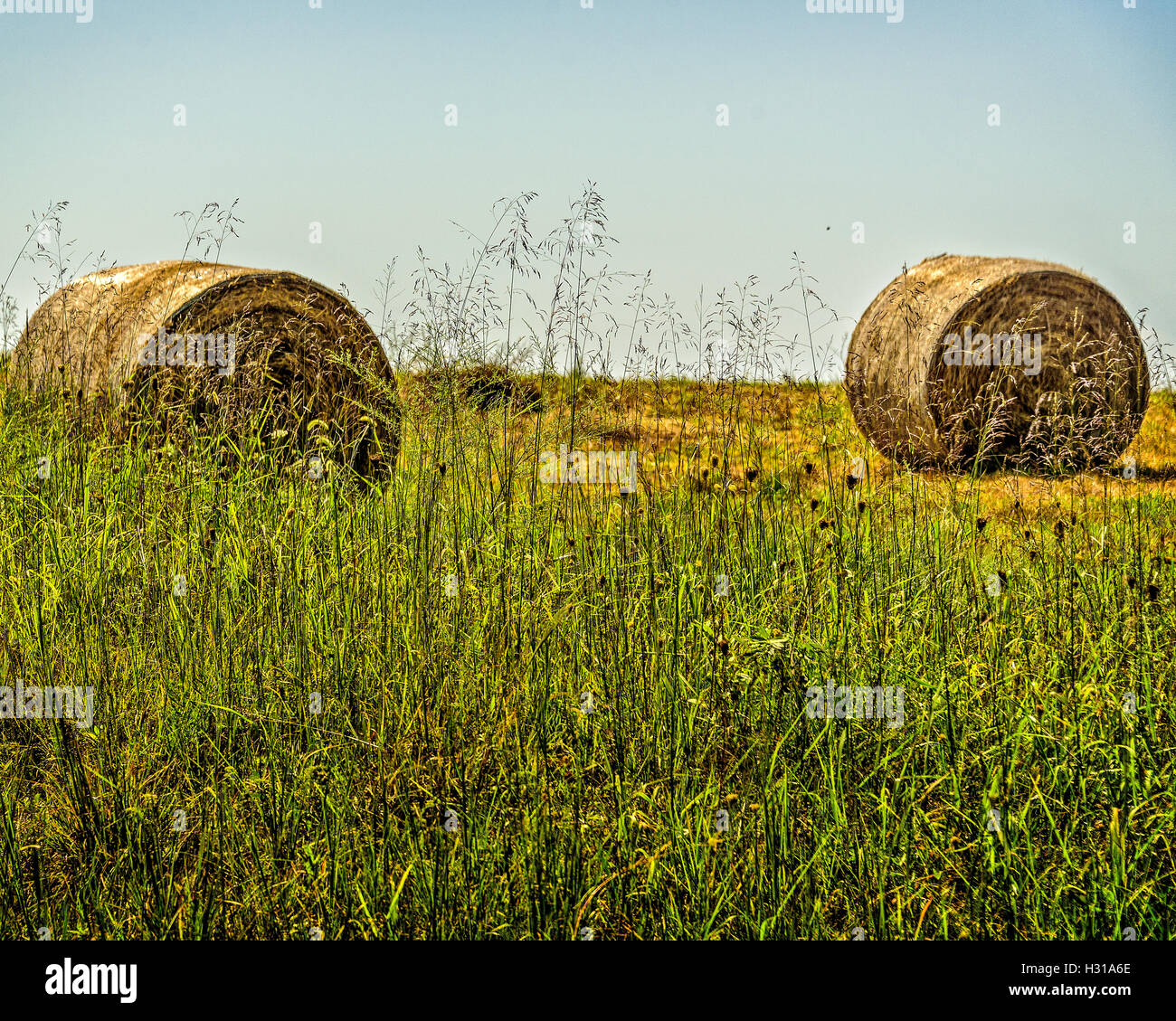 Midwestern nature hi-res stock photography and images - Alamy