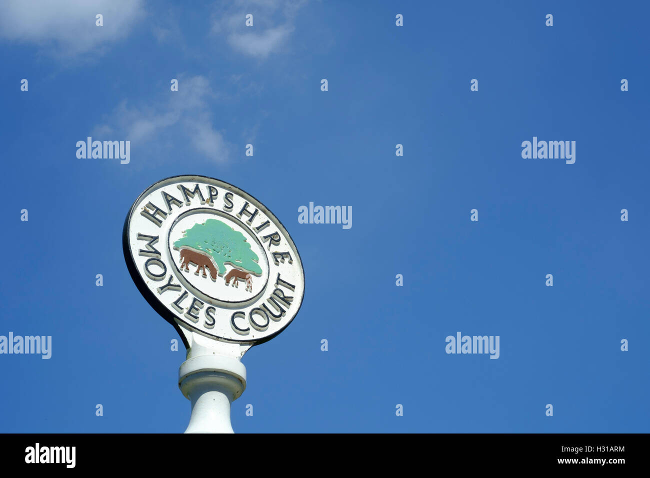 New forest school hi-res stock photography and images - Alamy