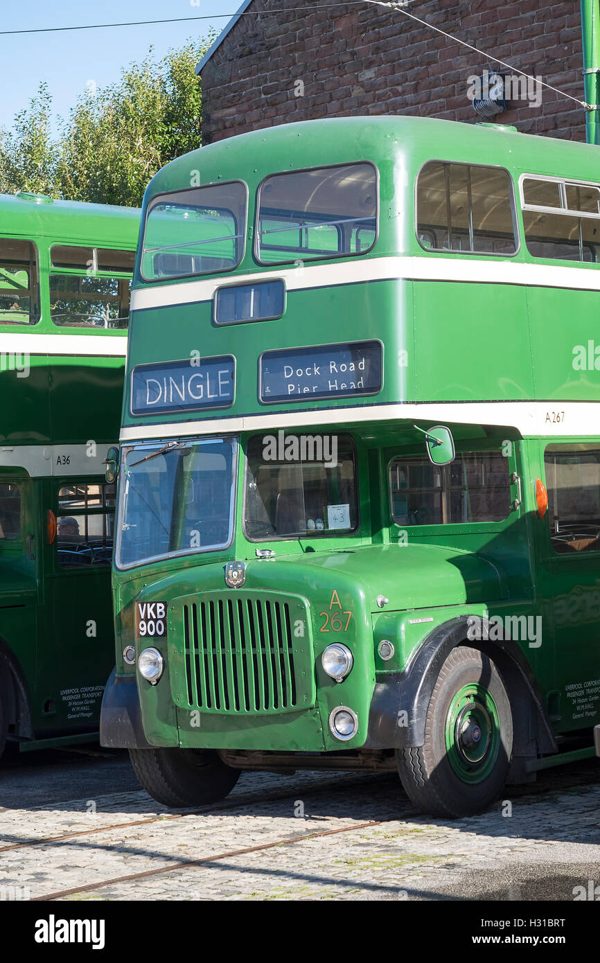 Vintage Bus on display at Bus Show Stock Photo - Alamy