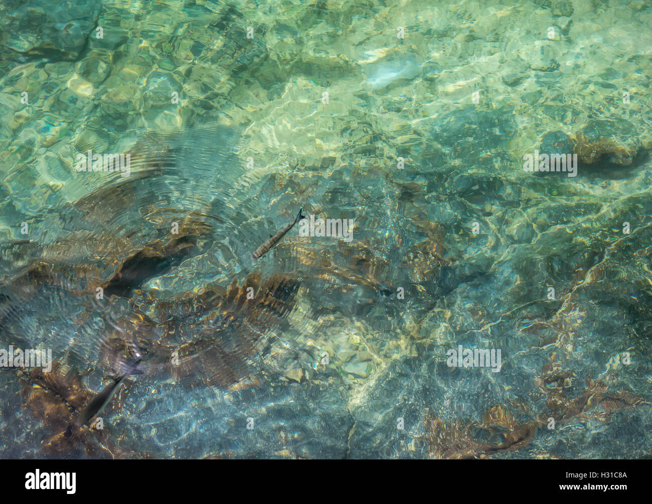 Clear splashing hi-res stock photography and images - Alamy