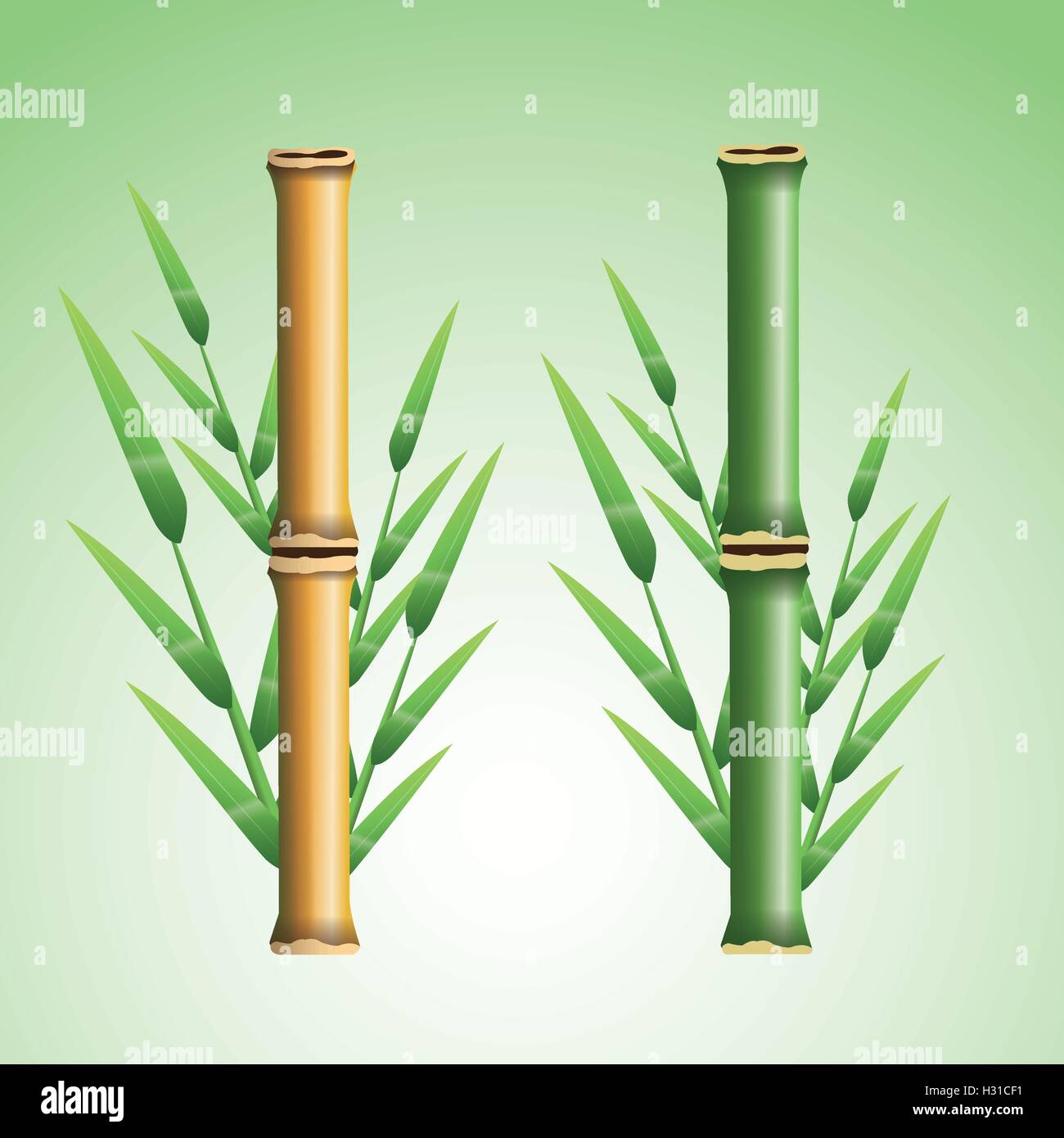 Bamboo trunk with leaves design Stock Vector Image & Art - Alamy