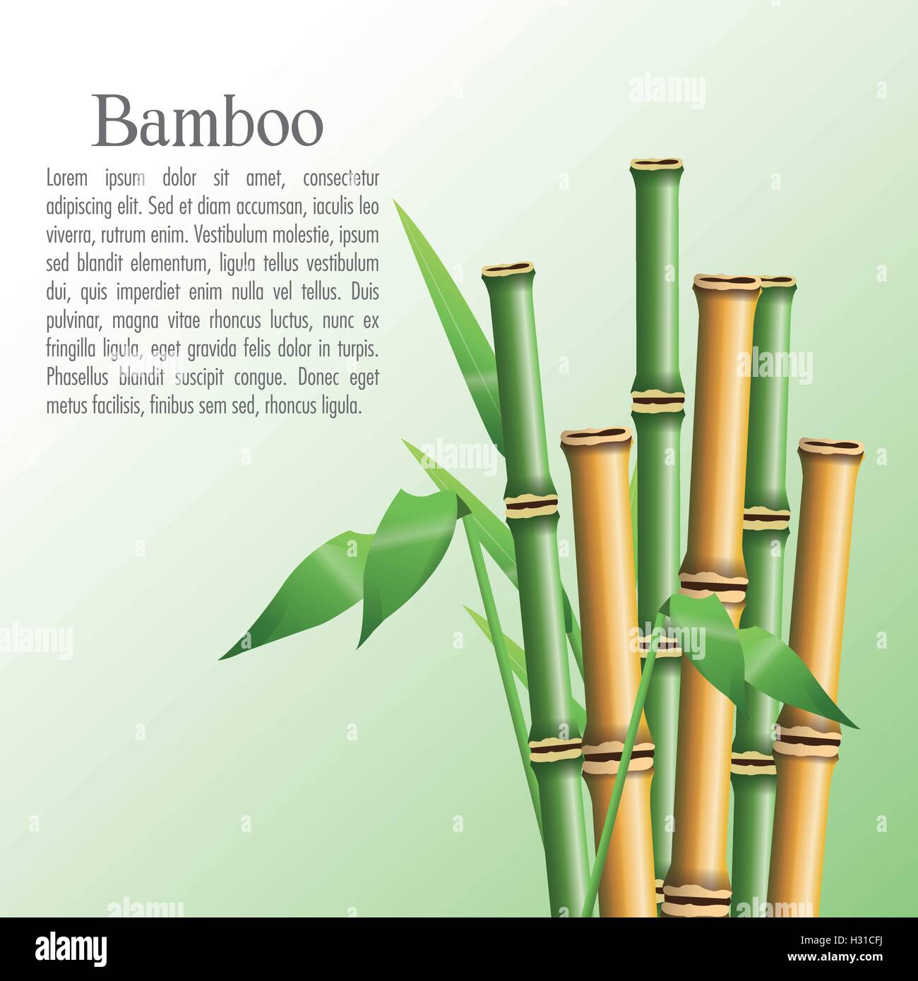 Bamboo trunk with leaves design Stock Vector Image & Art - Alamy
