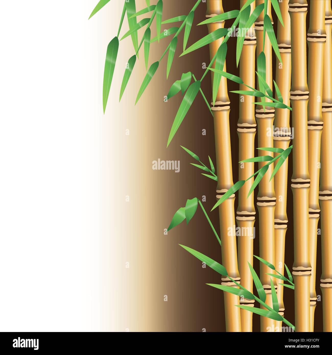 Bamboo trunk with leaves design Stock Vector Image & Art - Alamy