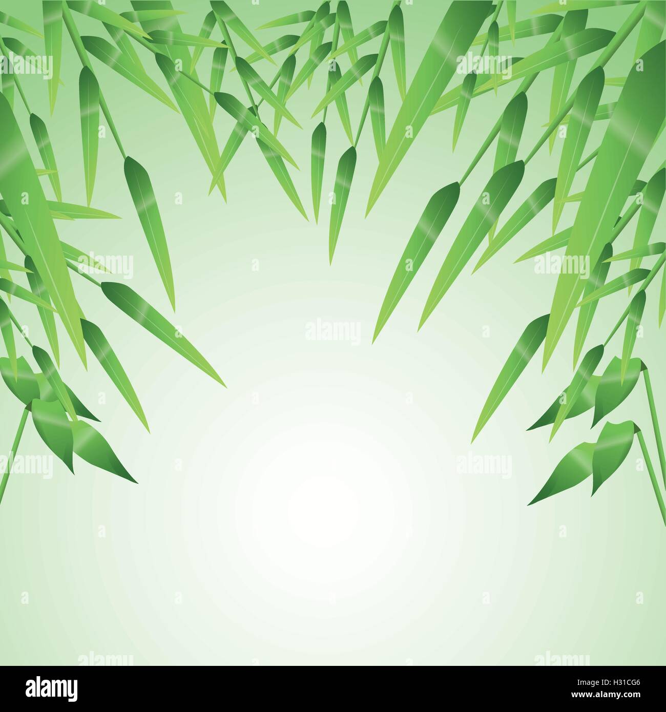 Bamboo leaves and nature design Stock Vector Image & Art - Alamy