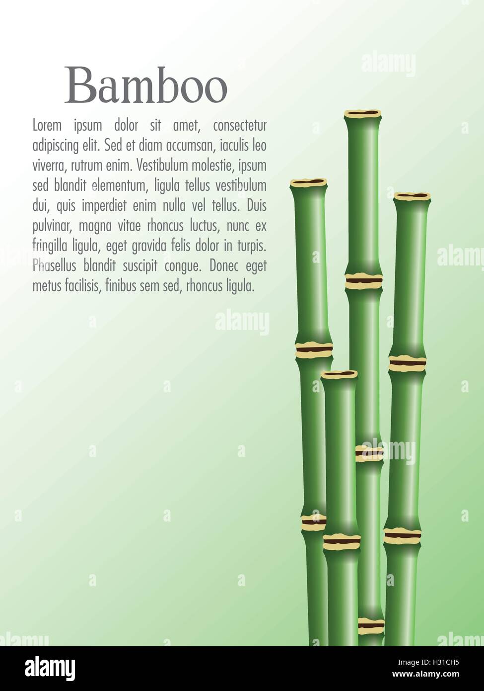 Bamboo trunks and nature design Stock Vector Image & Art - Alamy