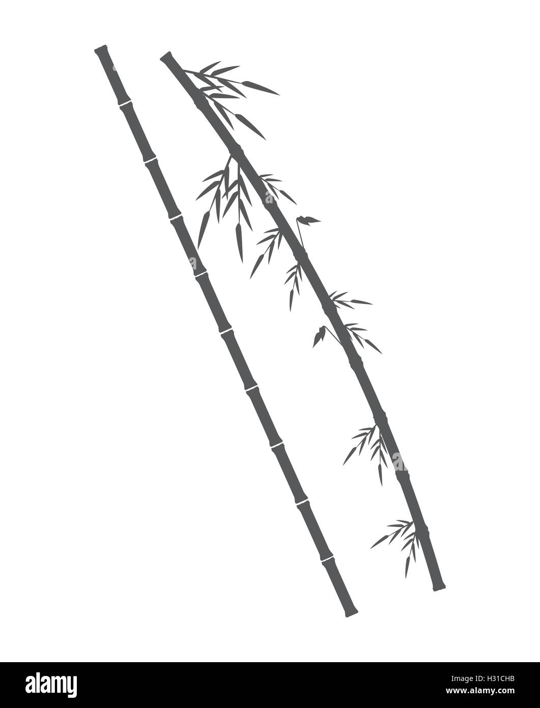Bamboo trunk with leaves design Stock Vector Image & Art - Alamy