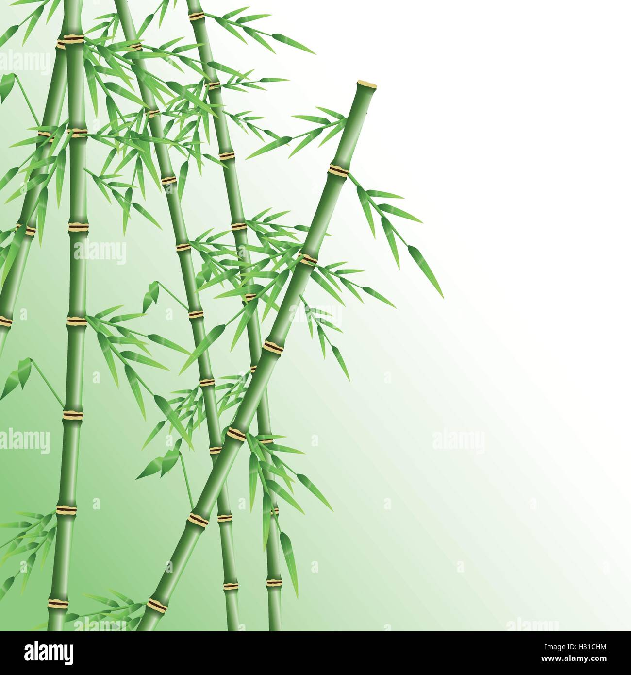 Bamboo trunk with leaves design Stock Vector Image & Art - Alamy