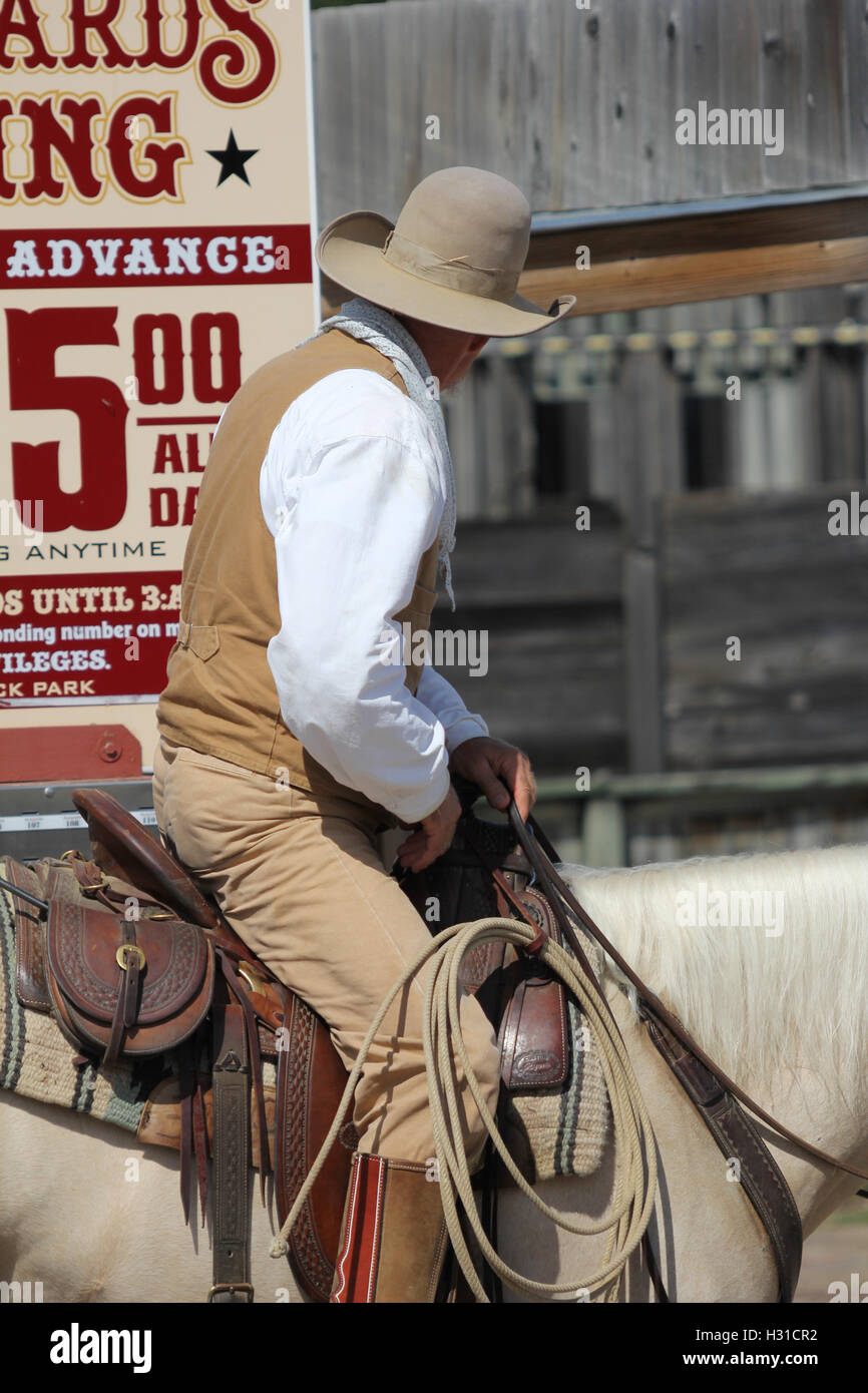 Cattle stampede texas hi-res stock photography and images - Alamy