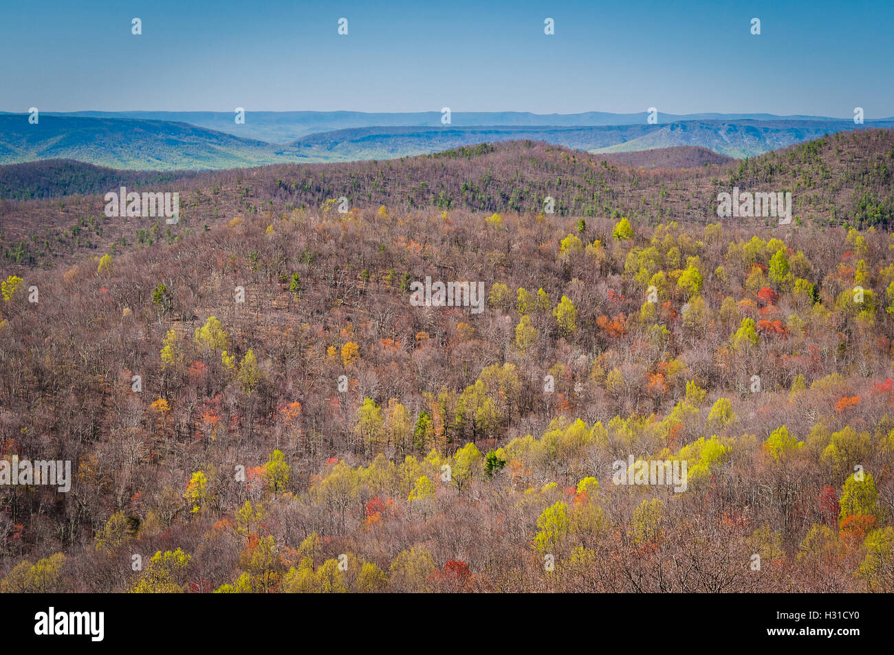 Early spring view of the Blue Ridge Mountains, in Shenandoah National ...