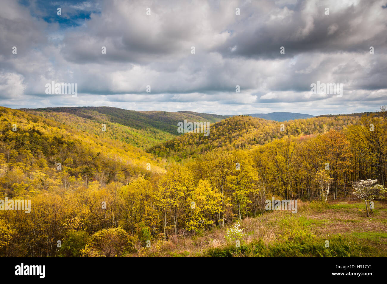 Early spring view of the Blue Ridge Mountains in Shenandoah National ...